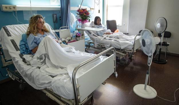 Hospital patients take in fans from home - News, Sport, Information ...