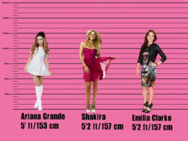 Is height a success factor - News, Sport, Information, Property ...