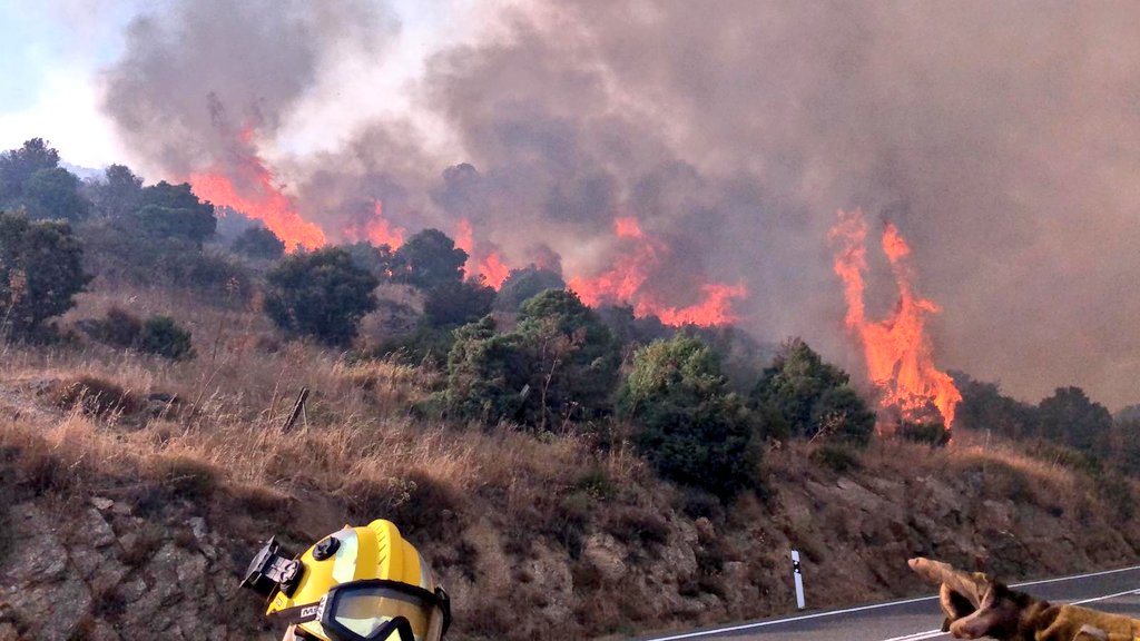 FIRE ALERT ACROSS REGION - News, Sport, Information, Property, Business ...