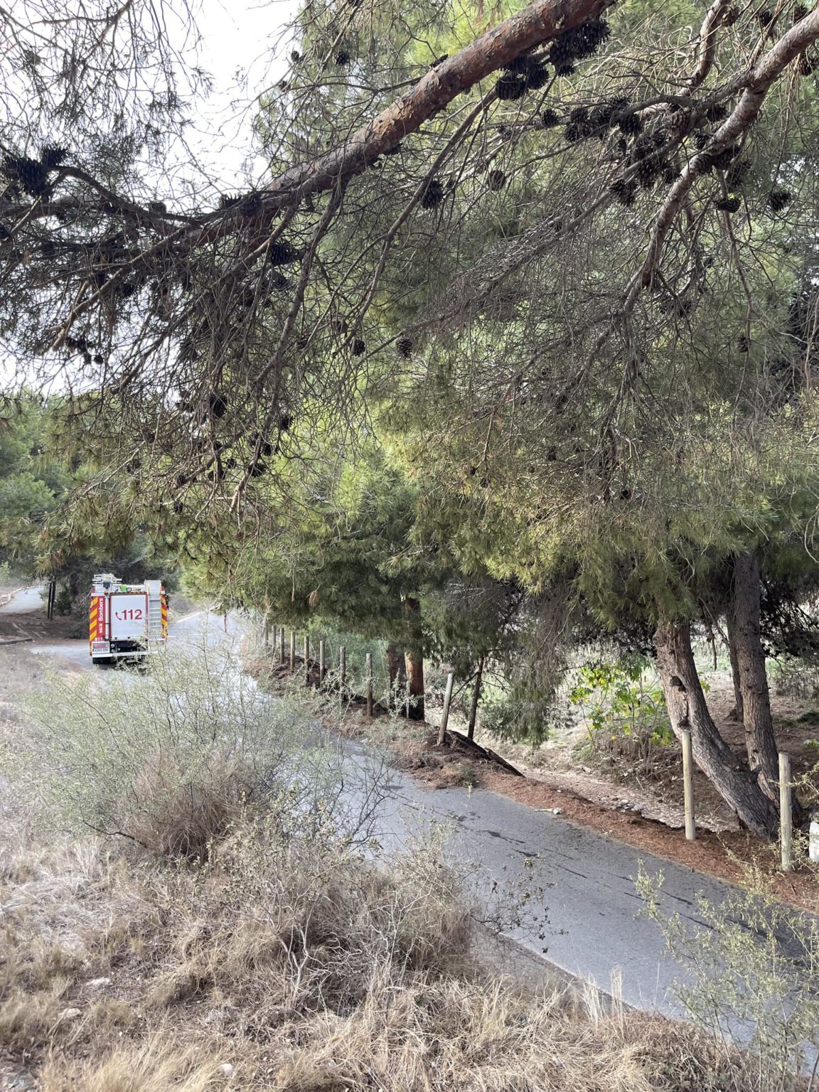 Arson concerns after Playa Flamenca fire - The Leader - The No. 1 ...