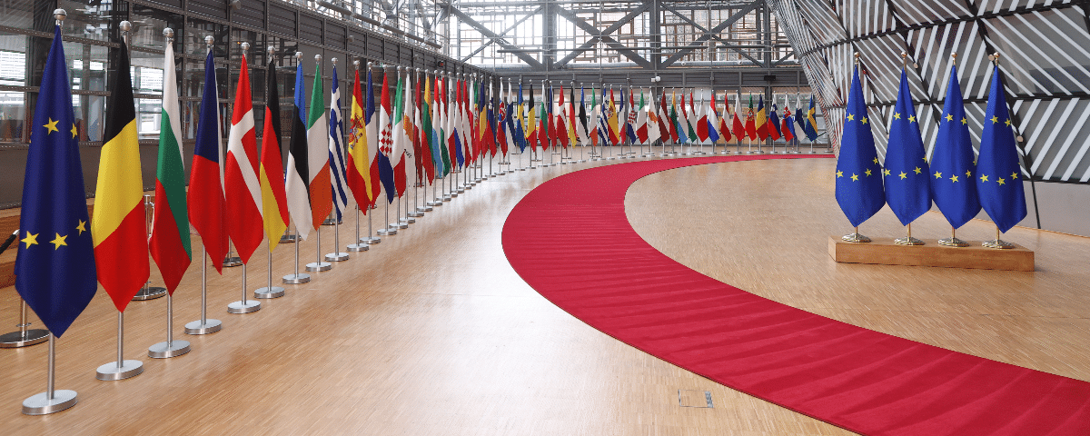 EU’s ‘ReArm’ drive highlights need for MEPs to check Commission’s power ...