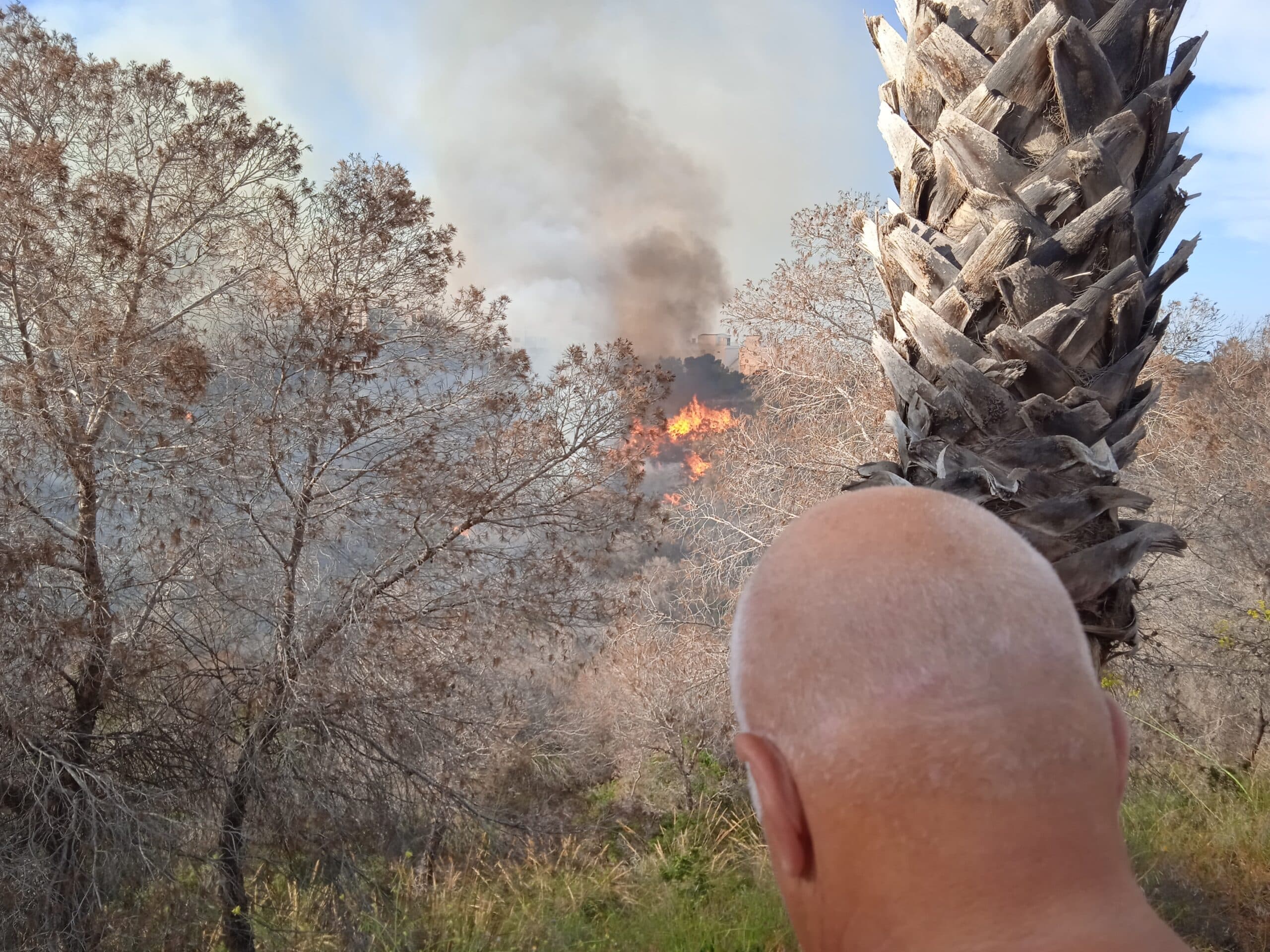 Over 50 Evacuated as Wildfire Sweeps Through Las Ramblas - News, Sport ...