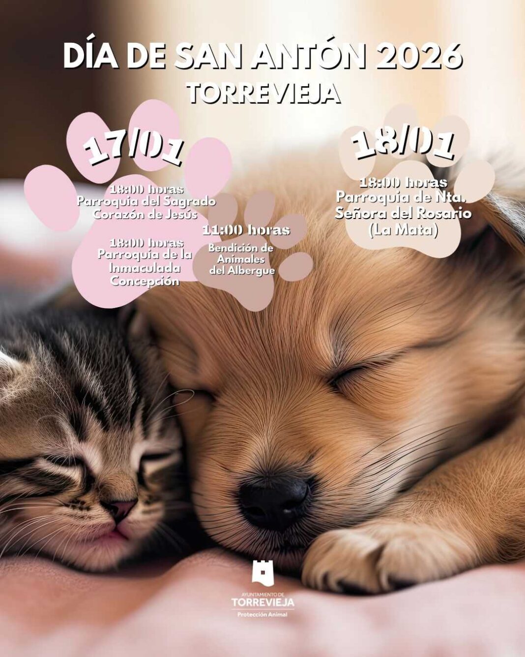 Pet Blessings and Shelter Visit to Mark Saint Anthony’s Day in ...